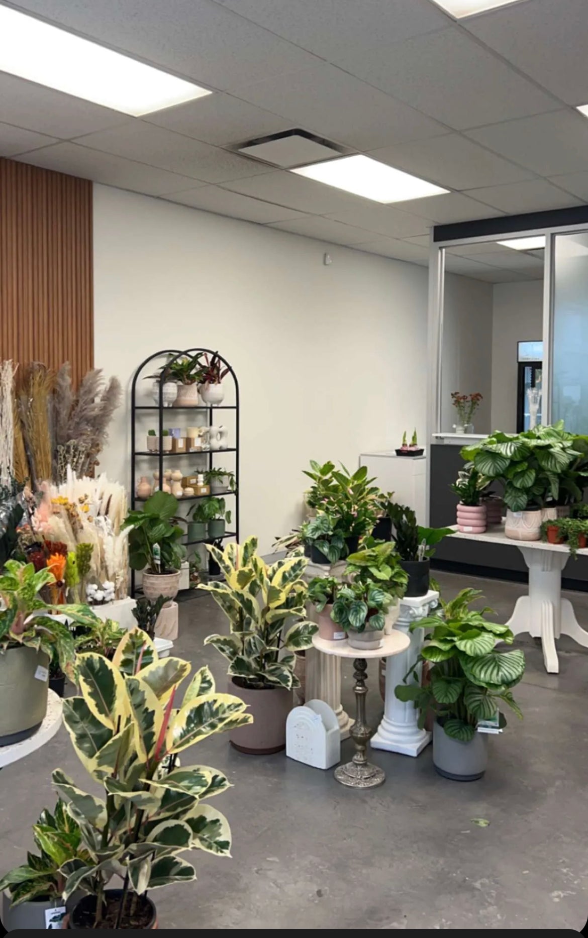Vert Tige - Fleuriste Chicoutimi